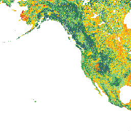 ArcGIS Web Application