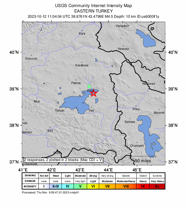 DYFI intensity map